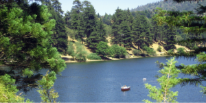 Janice Rutherford Second District Supervisor